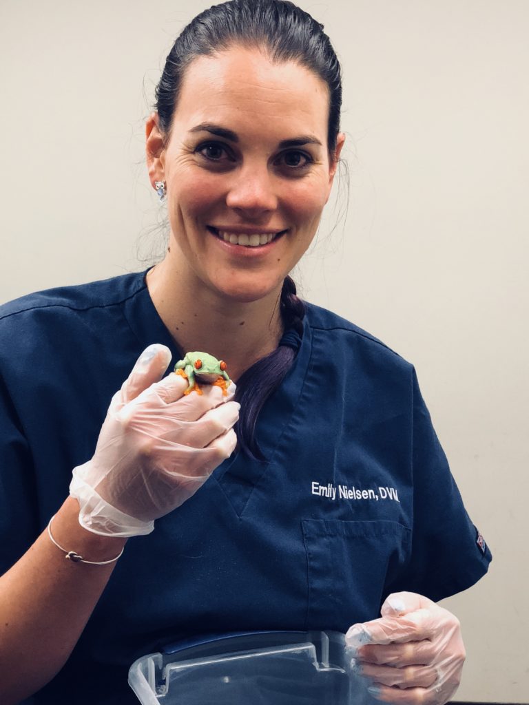 Emily-Nielsen-DVM-2 - Stahl Exotic Animal Veterinary Services